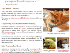 Tripawds Downloads - Three Legged Dog and Cat Ebooks, Podcast